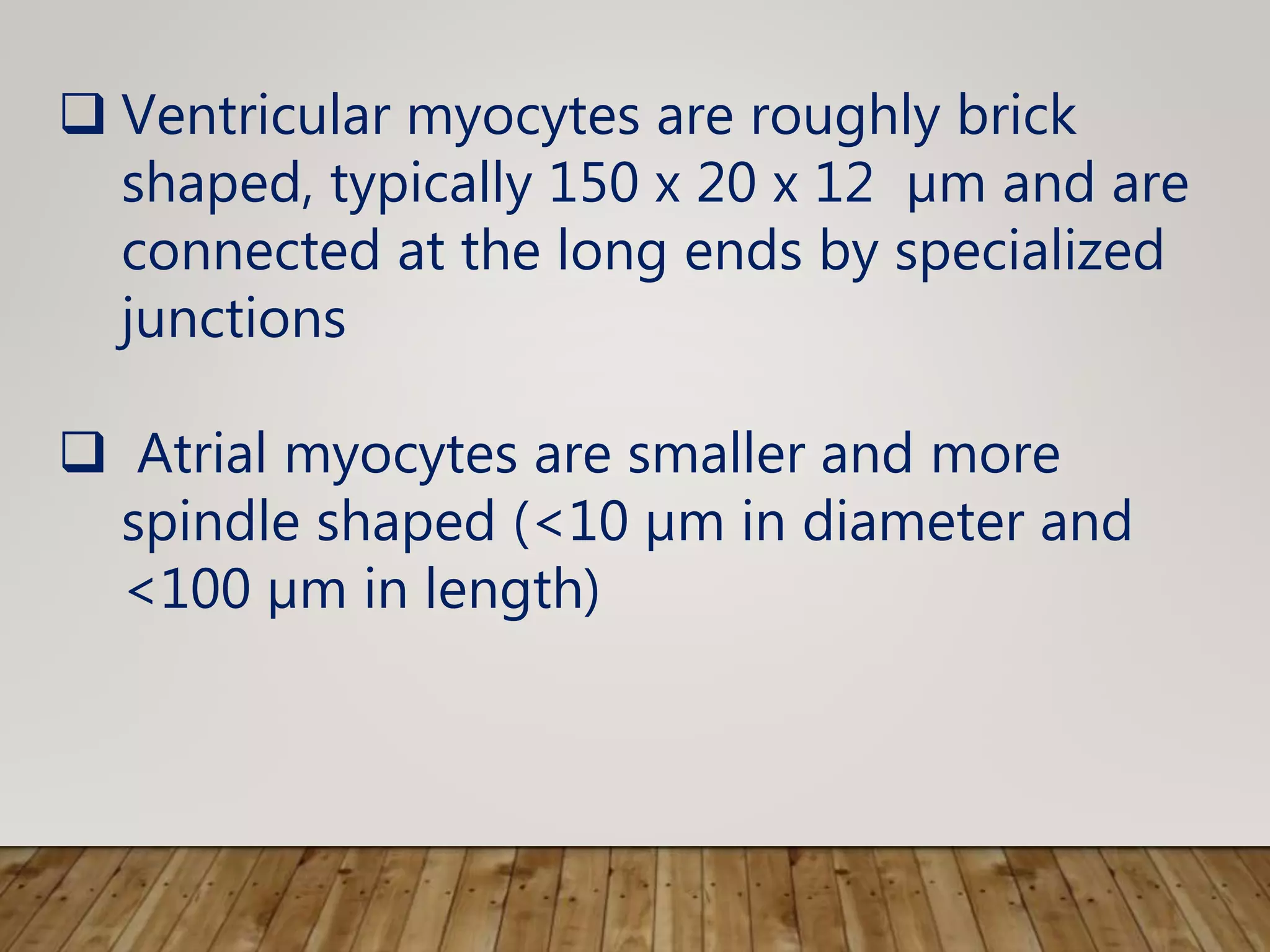 Mechanism of cardiac contraction dr vaibhav yawalkar | PPTX