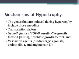Mechanism of cell injury | PPTX