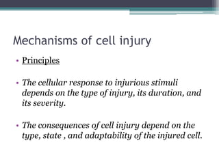Mechanism of cell injury | PPTX