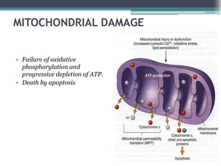 Mechanism of cell injury | PPTX