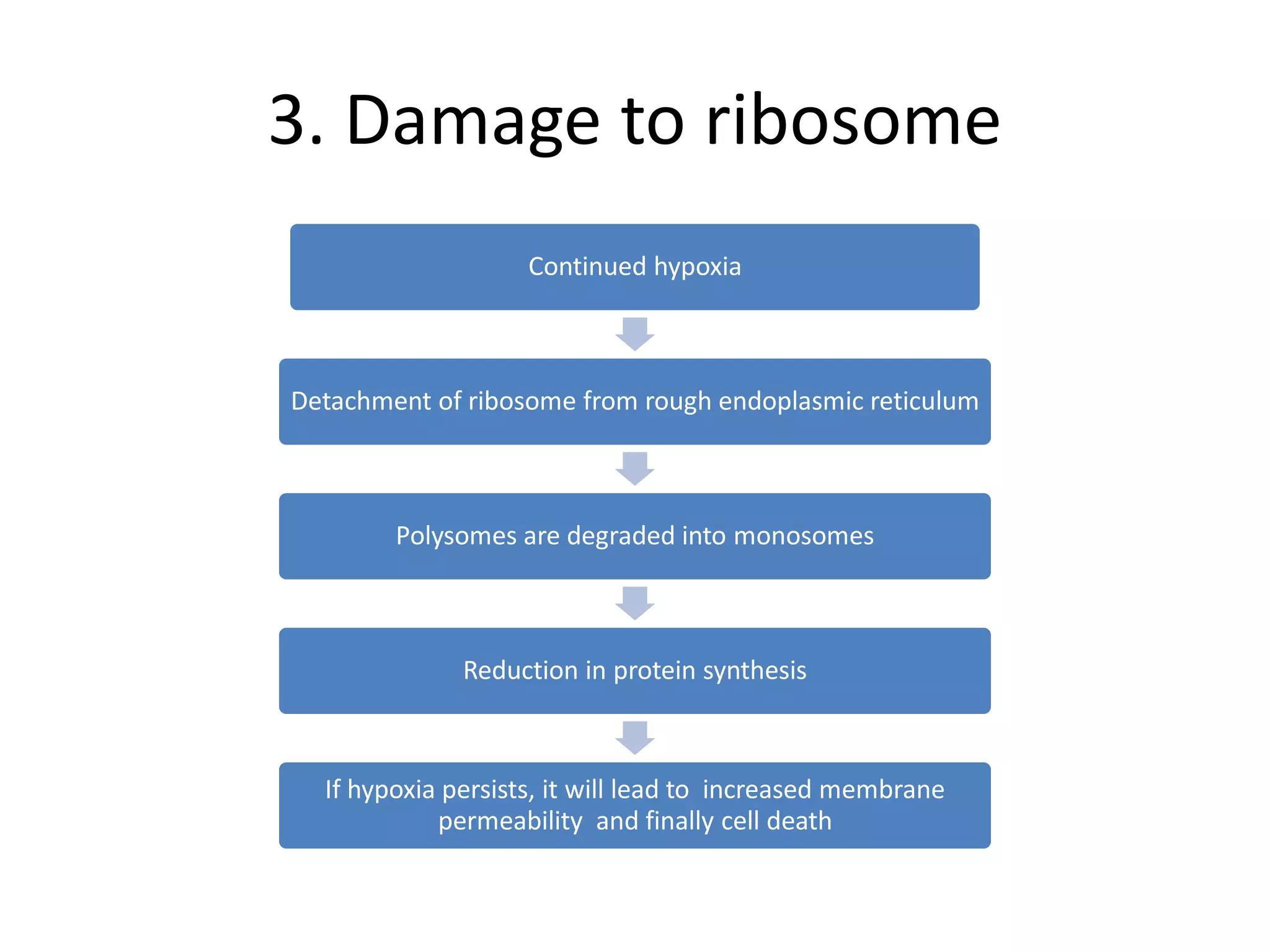 Mechanism of cell injury Pathophysiology | PDF