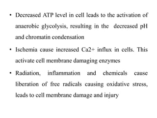 Mechanism of cell injury Pathophysiology | PDF