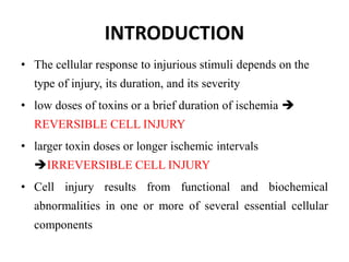 Mechanism of cell injury Pathophysiology | PDF