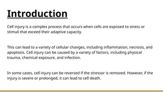 Mechanism of Cell injury- descriptive pathogenesis.pptx