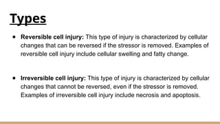 Mechanism of Cell injury- descriptive pathogenesis.pptx