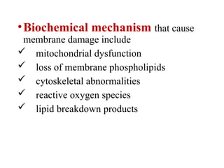 Mechanism of Cell Injury - Pathology powerpoint | PPTX
