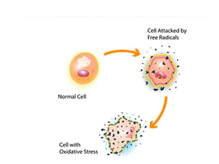 Mechanism of Cell Injury - Pathology powerpoint | PPTX