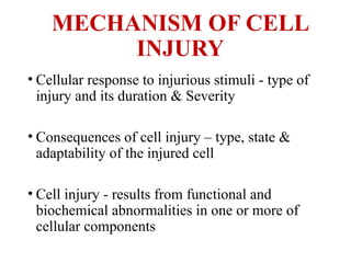Mechanism of Cell Injury - Pathology powerpoint | PPTX
