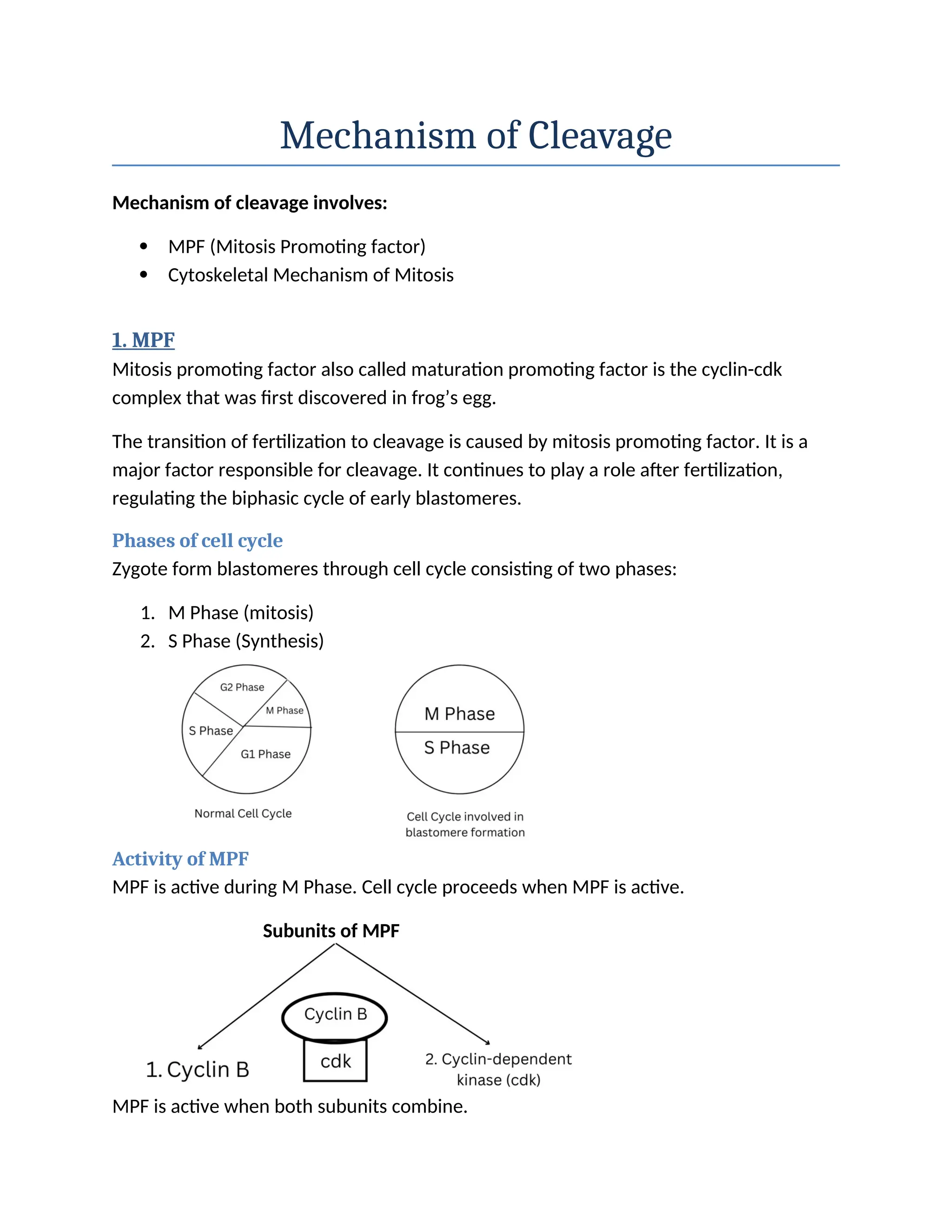 Mechanism of cleavage - Developmental Biology.docx