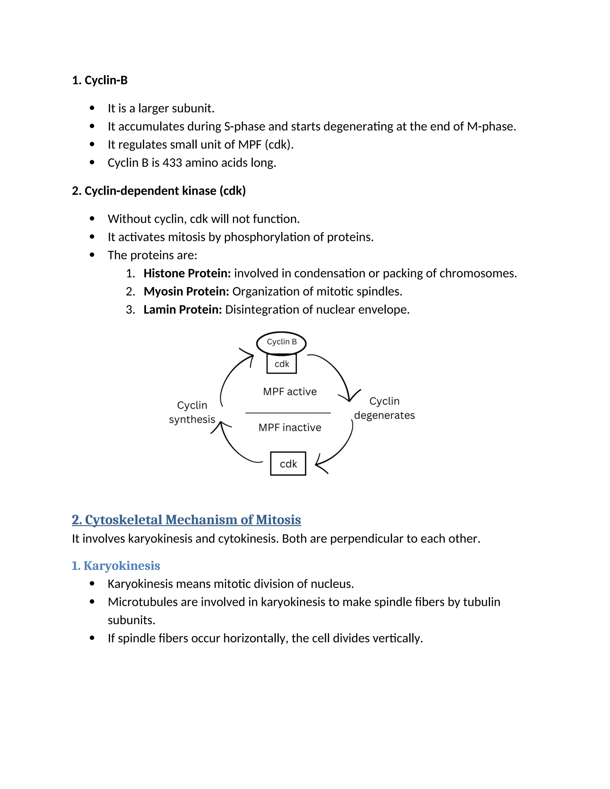 Mechanism of cleavage - Developmental Biology.docx