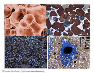 _Mechanism of clinker coating formation and Flame-1.pdf