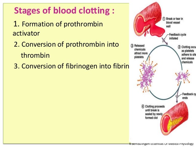 Mechanism of clotting