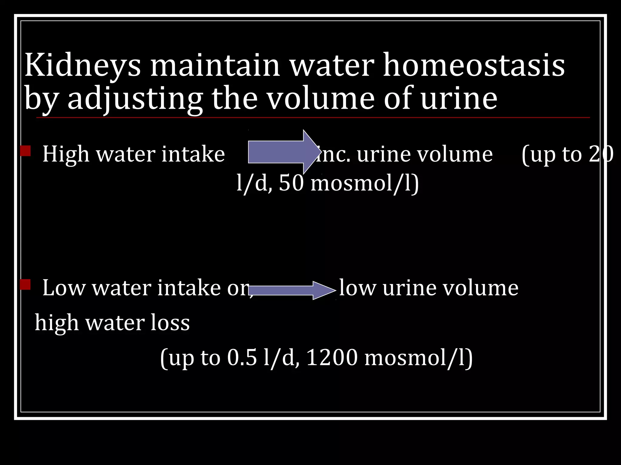 MECHANISM OF CONCENTRATION OF URINE | PPT