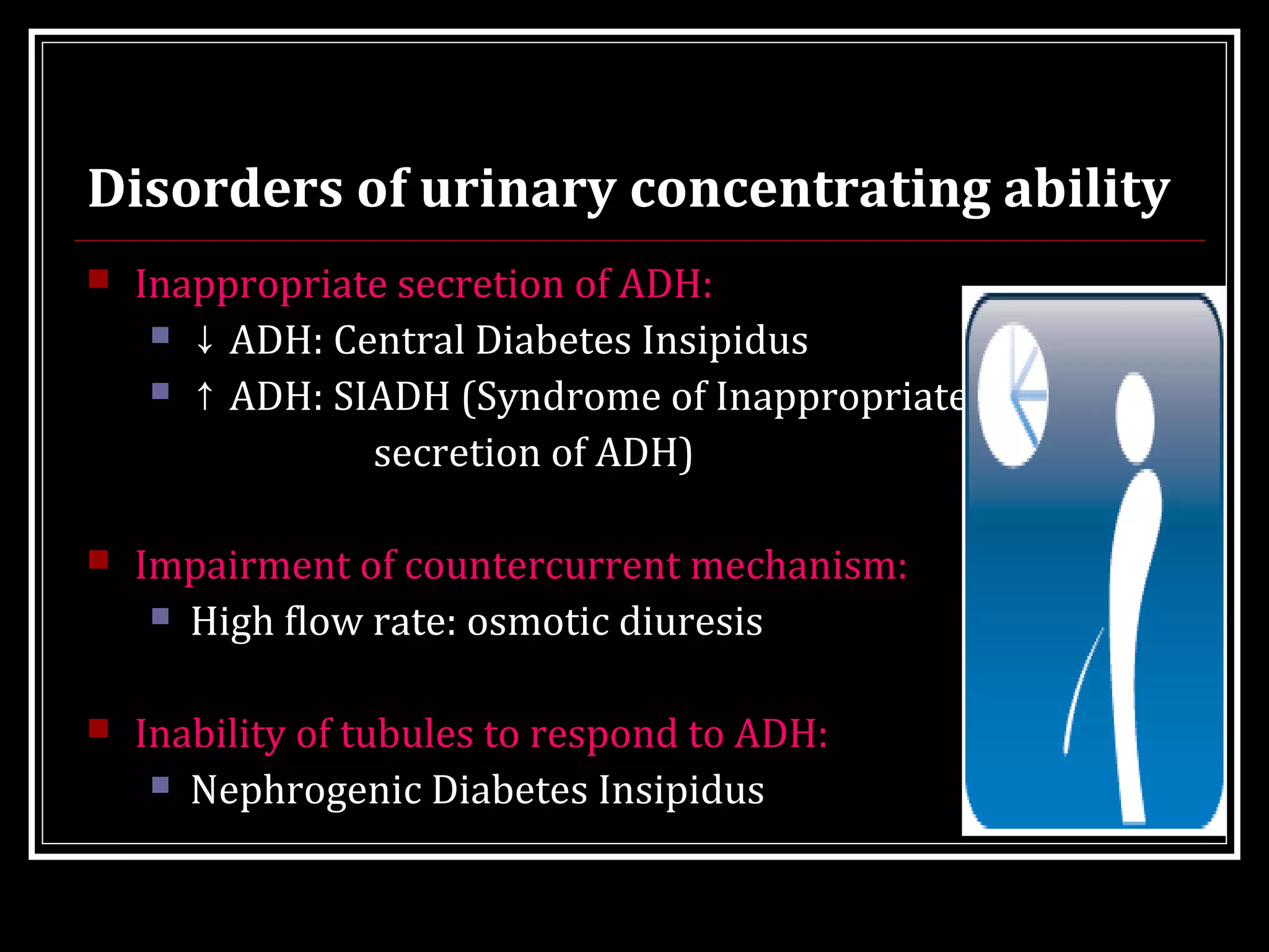 MECHANISM OF CONCENTRATION OF URINE | PPT