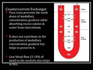 MECHANISM OF CONCENTRATION OF URINE | PPT