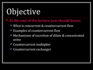 MECHANISM OF CONCENTRATION OF URINE | PPT