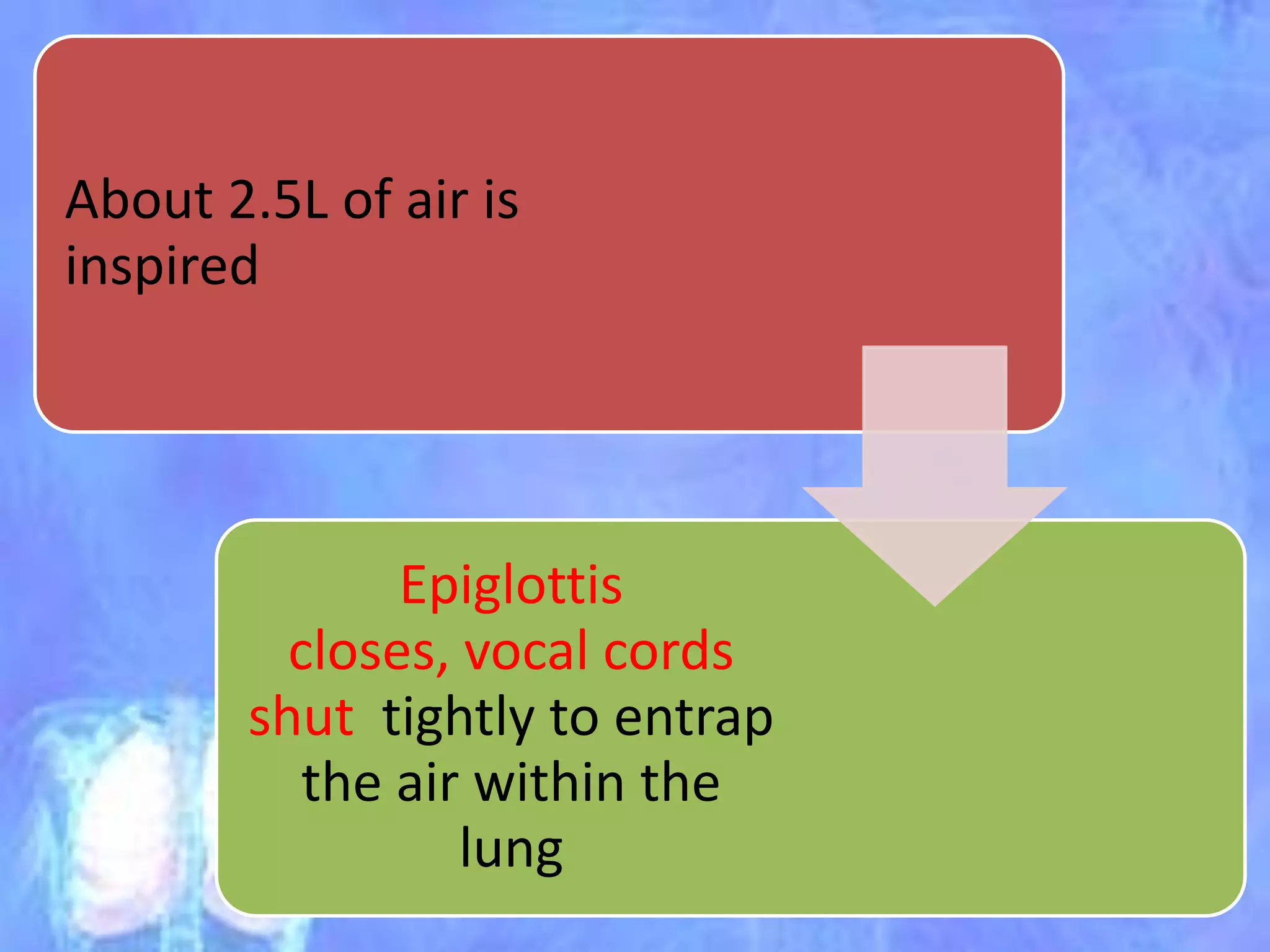 Mechanism of Cough | PPT
