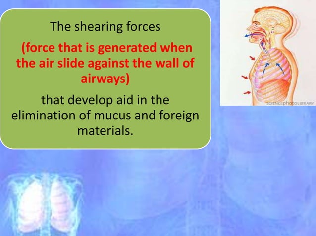 Mechanism of Cough | PPT