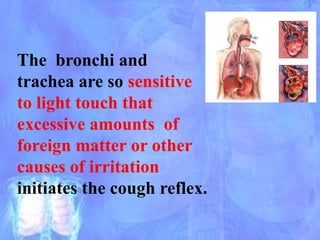 Mechanism of Cough | PPTX