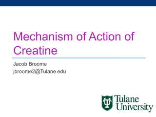 Mechanism of creatine | PPTX