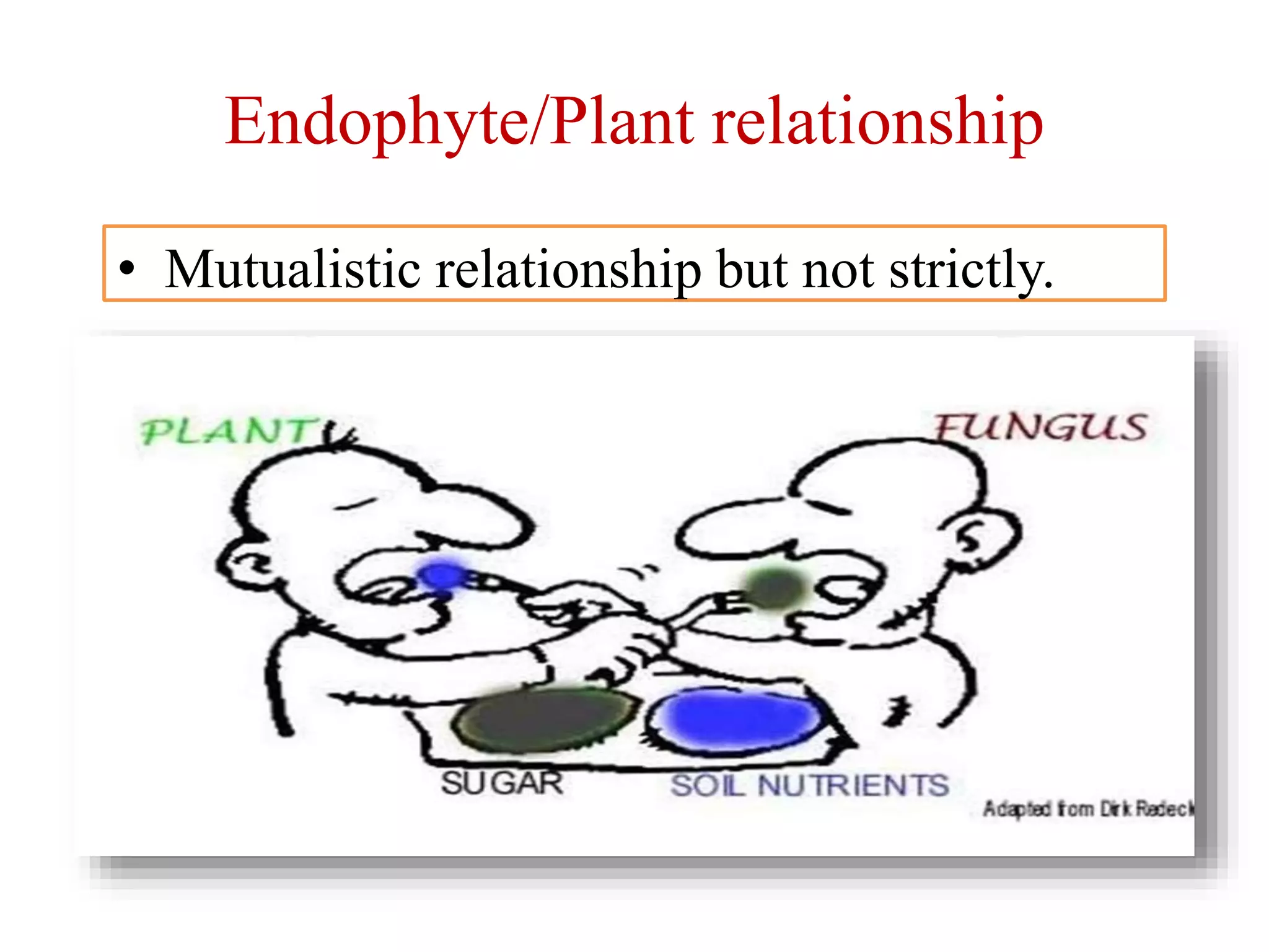 Mechanism of disease control by endophytes | PPTX