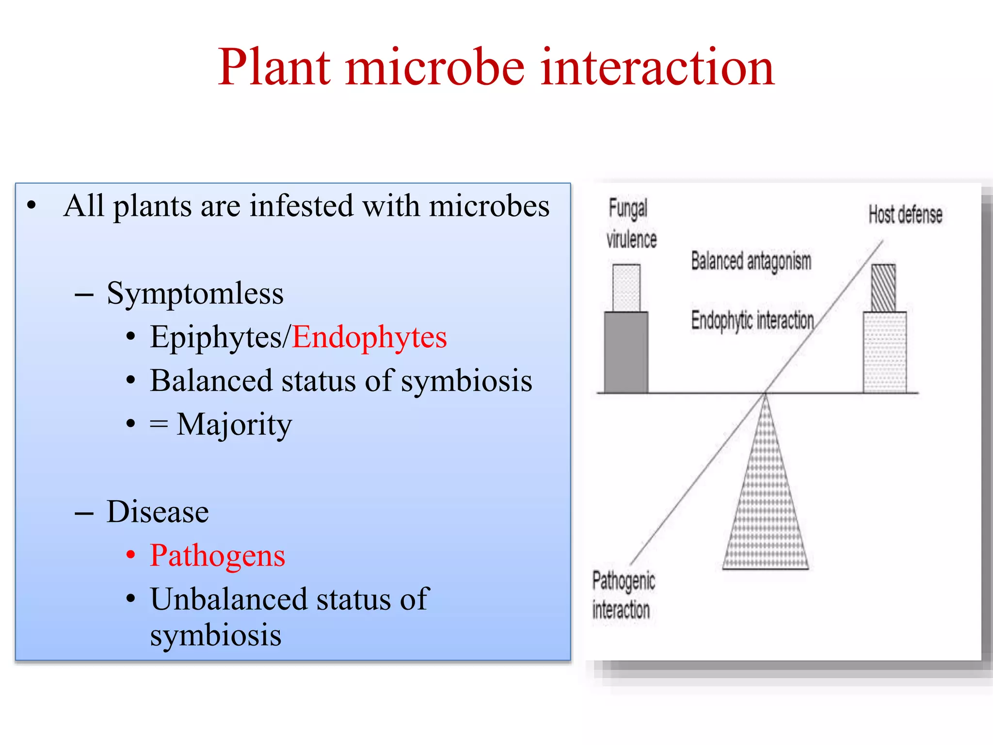 Mechanism of disease control by endophytes | PPTX