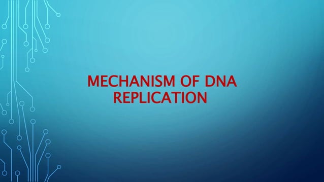 Mechanism of dna replication | PPTX | Chemistry | Science