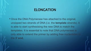 Mechanism of dna replication | PPTX