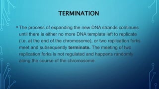 Mechanism of dna replication | PPTX