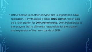 Mechanism of dna replication | PPTX