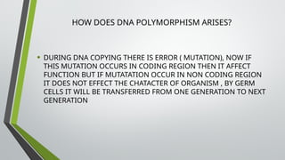 MECHANISM OF DNA REPLICATION.pptx thydrhtydrrdhdytr | PPTX