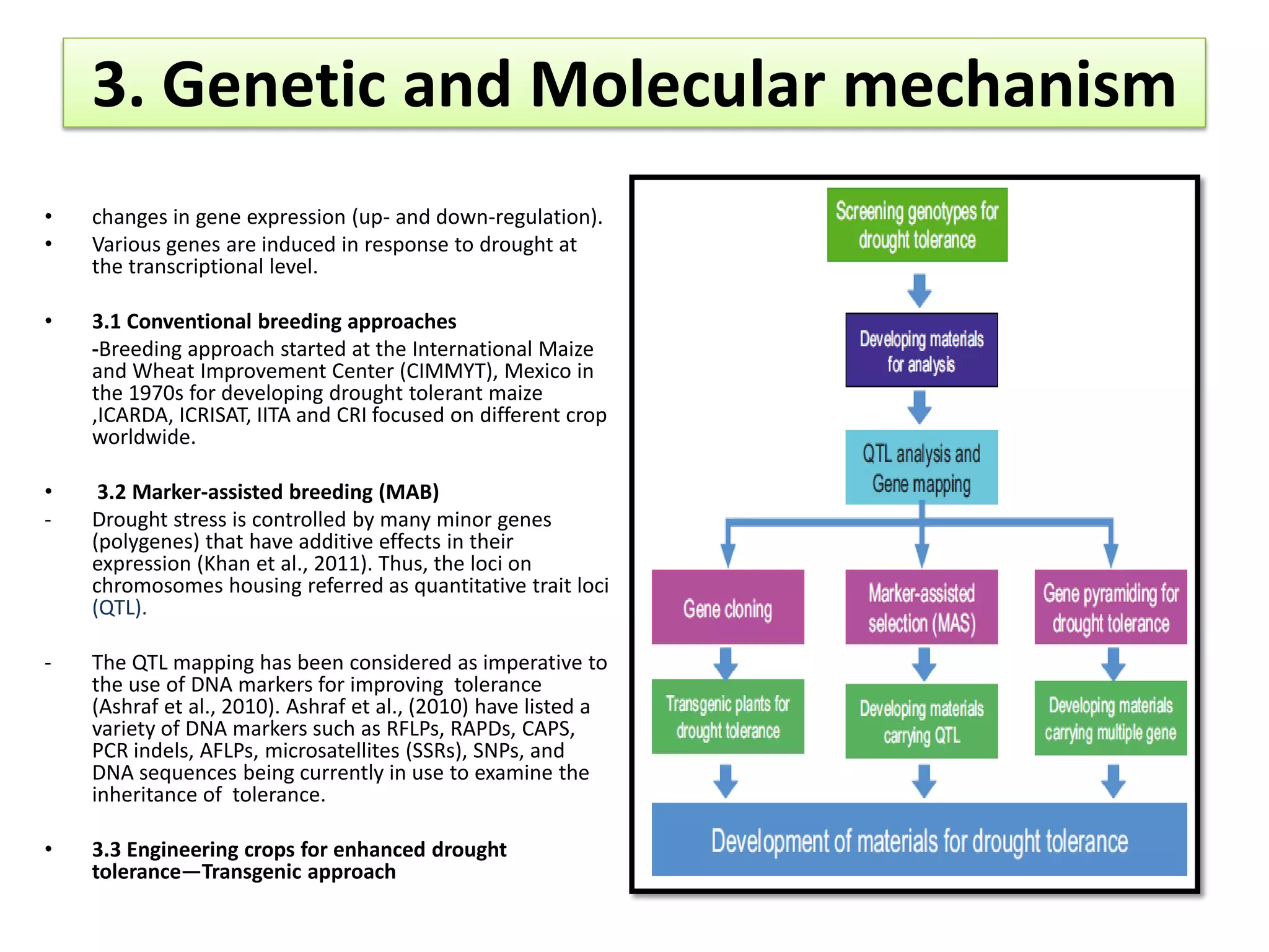 Mechanism of drought tolerence in plants | PDF