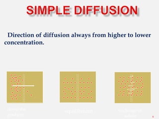 Mechanism of drug absorbtion | PPTX