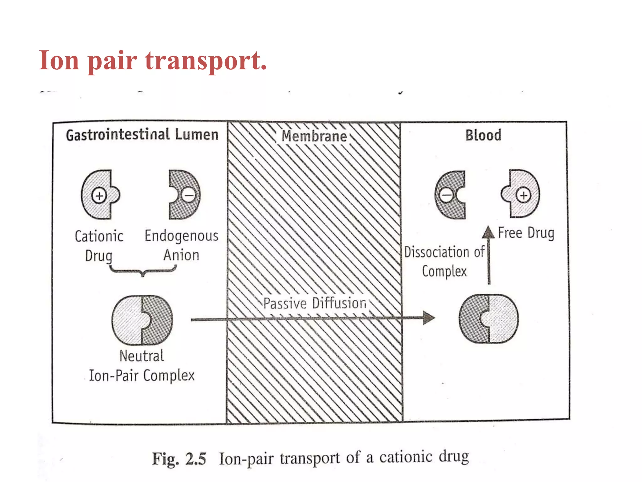 Mechanism of drug absorption | PPTX