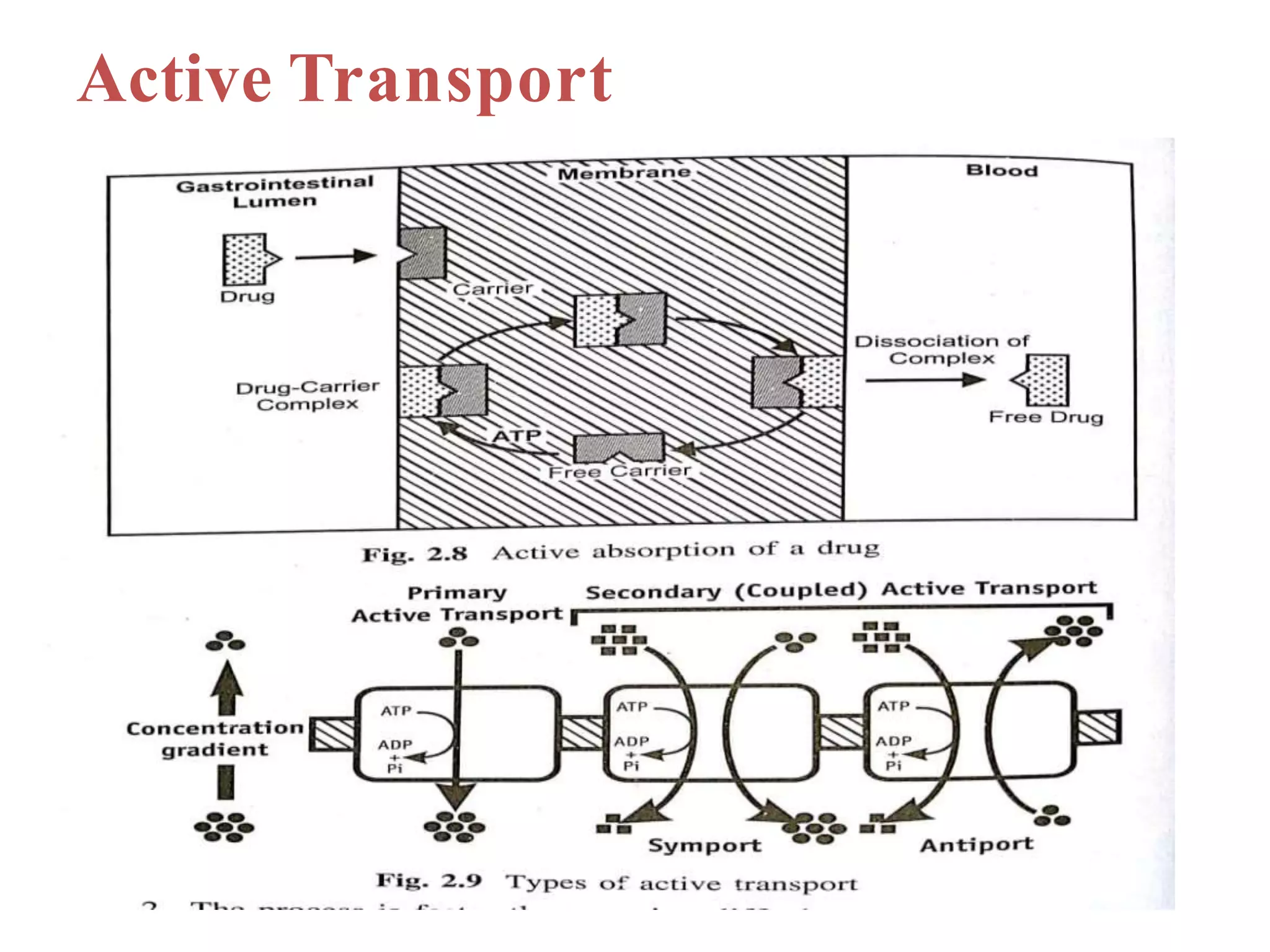 Mechanism of drug absorption | PPTX