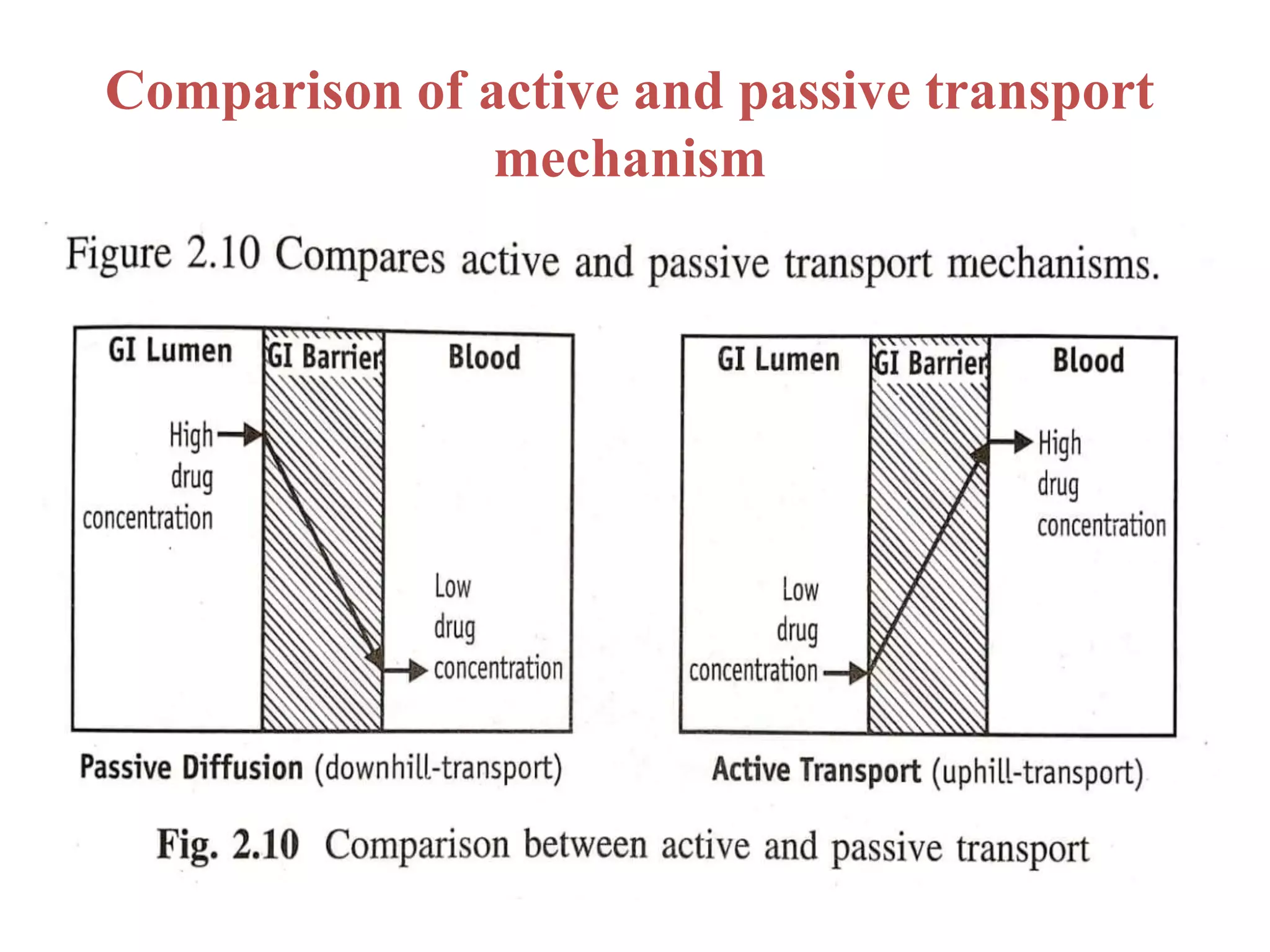 Mechanism of drug absorption | PPTX