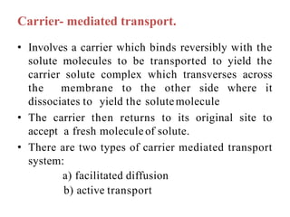 Mechanism of drug absorption | PPTX