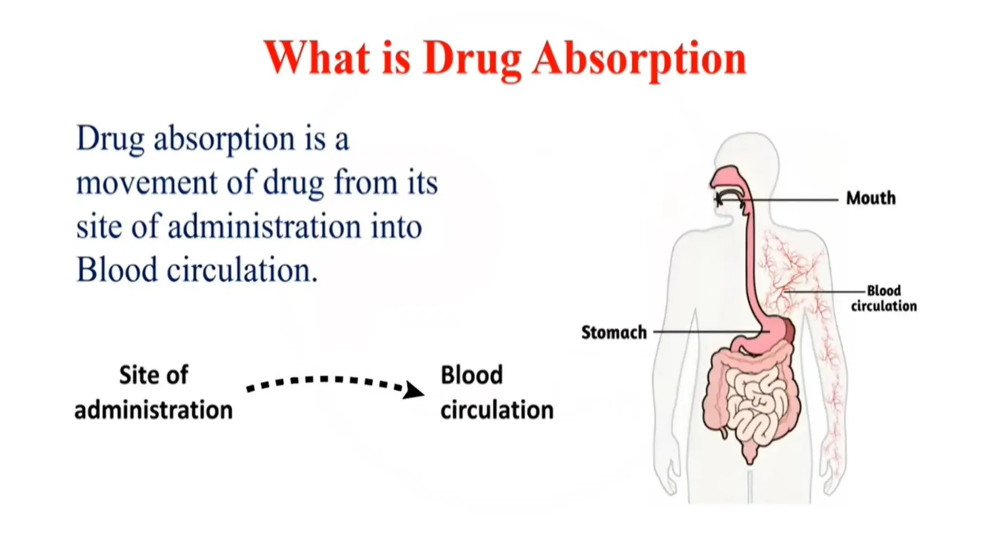 mechanism of drug absorption (1). ppt sspptx | PPT