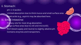 Mechanism of drug absorption_20250522_113901_0000.pdf