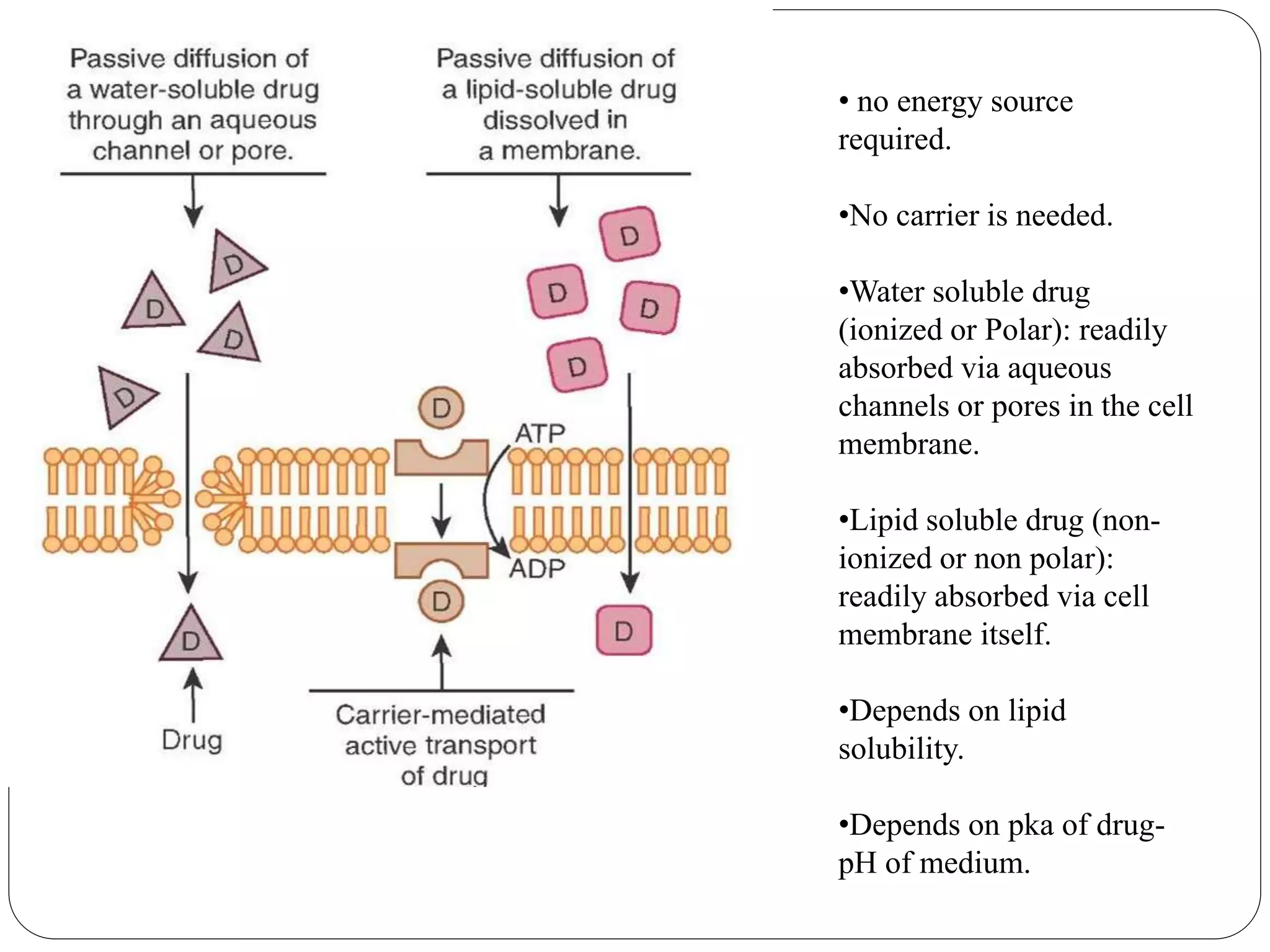 Mechanism of drug absorption in git | PPTX
