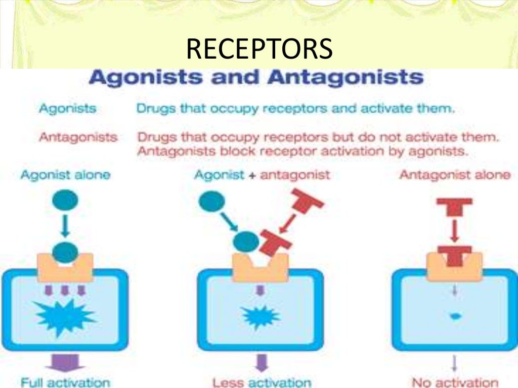 Mechanism of drug action