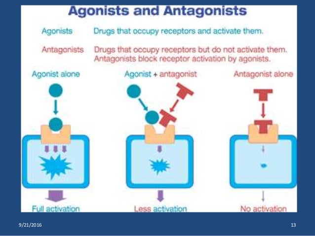 Mechanism of drug action