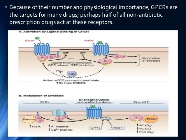 Mechanism of drug action