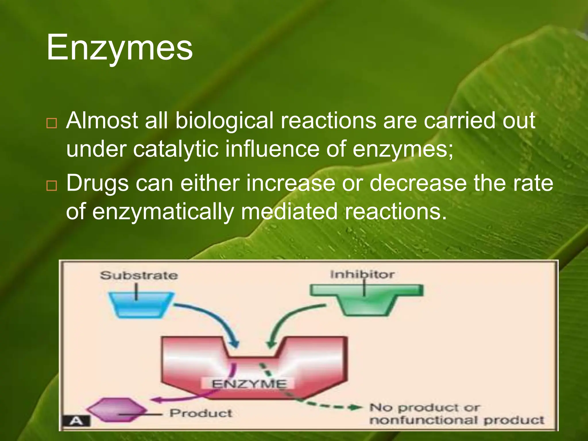 Mechanism of drug action,drug receptor phrmacology | PPT