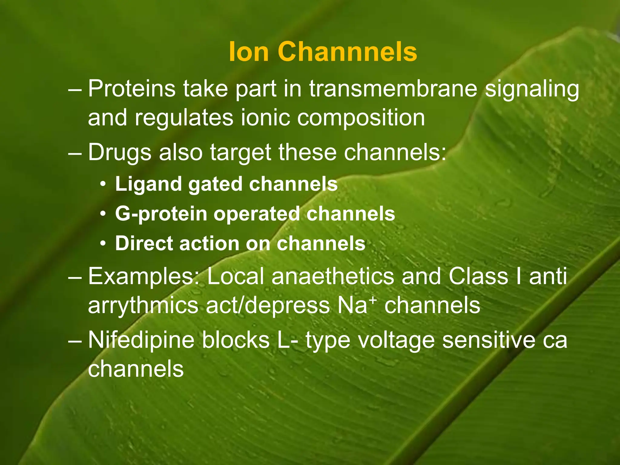 Mechanism of drug action,drug receptor phrmacology | PPT