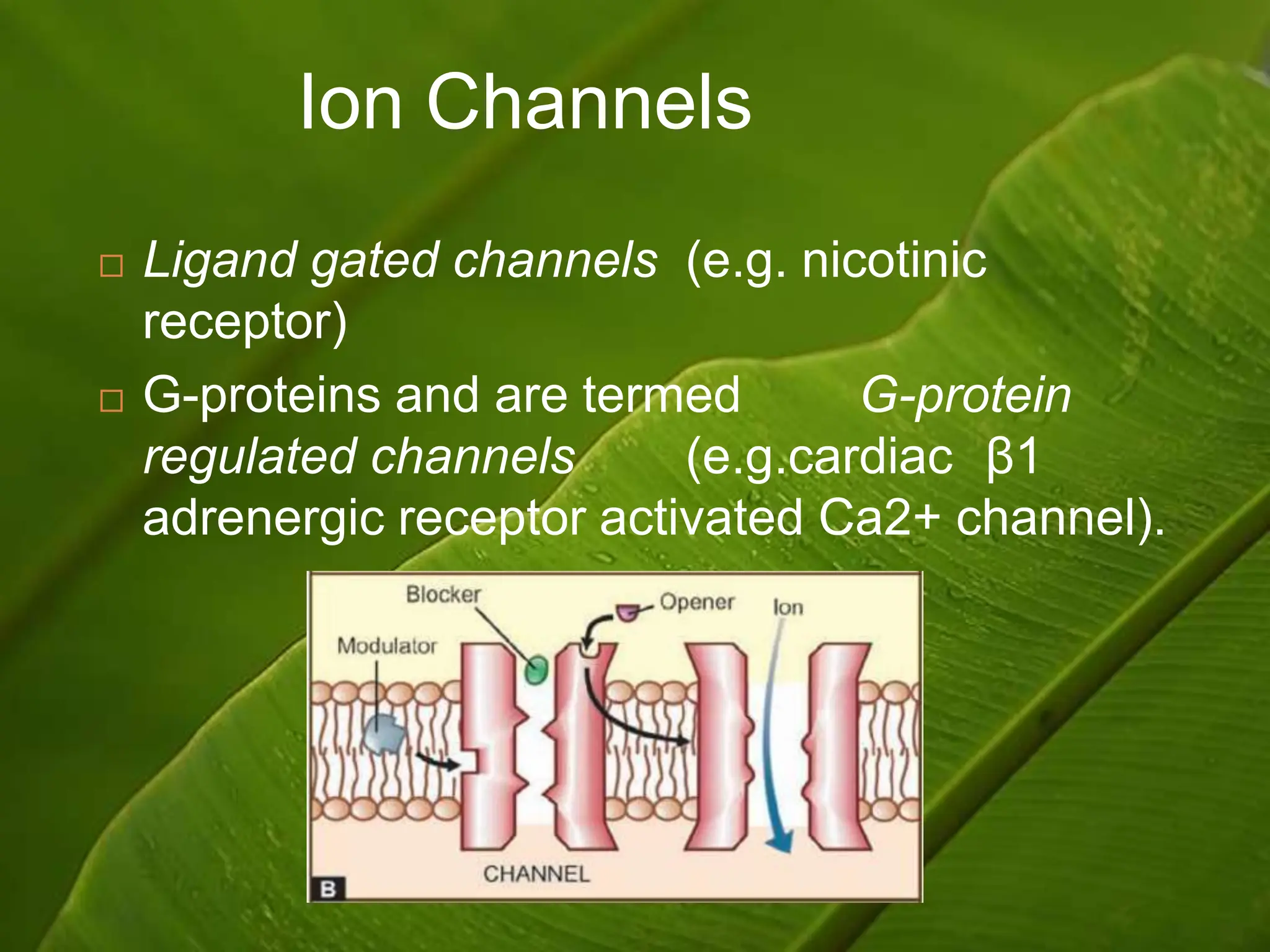 Mechanism of drug action,drug receptor phrmacology | PPT