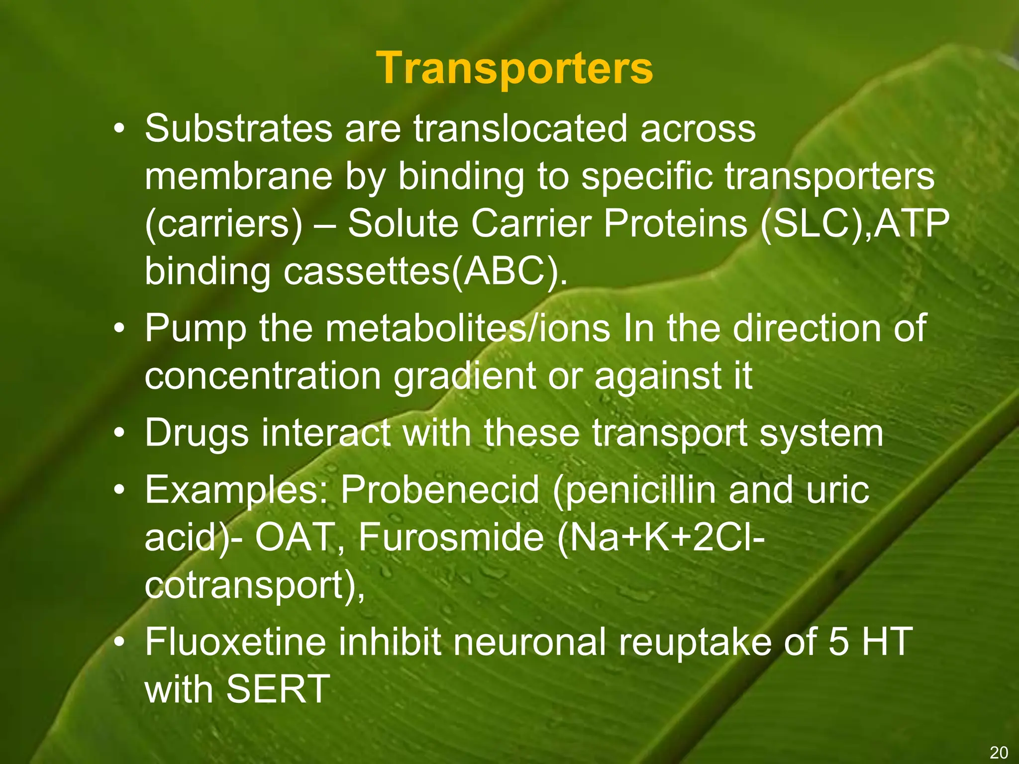 Mechanism of drug action,drug receptor phrmacology | PPT