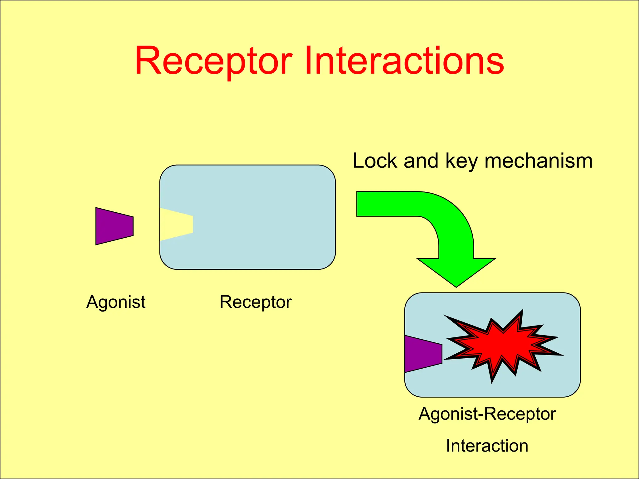 Mechanism of drug action,drug receptor phrmacology | PPT