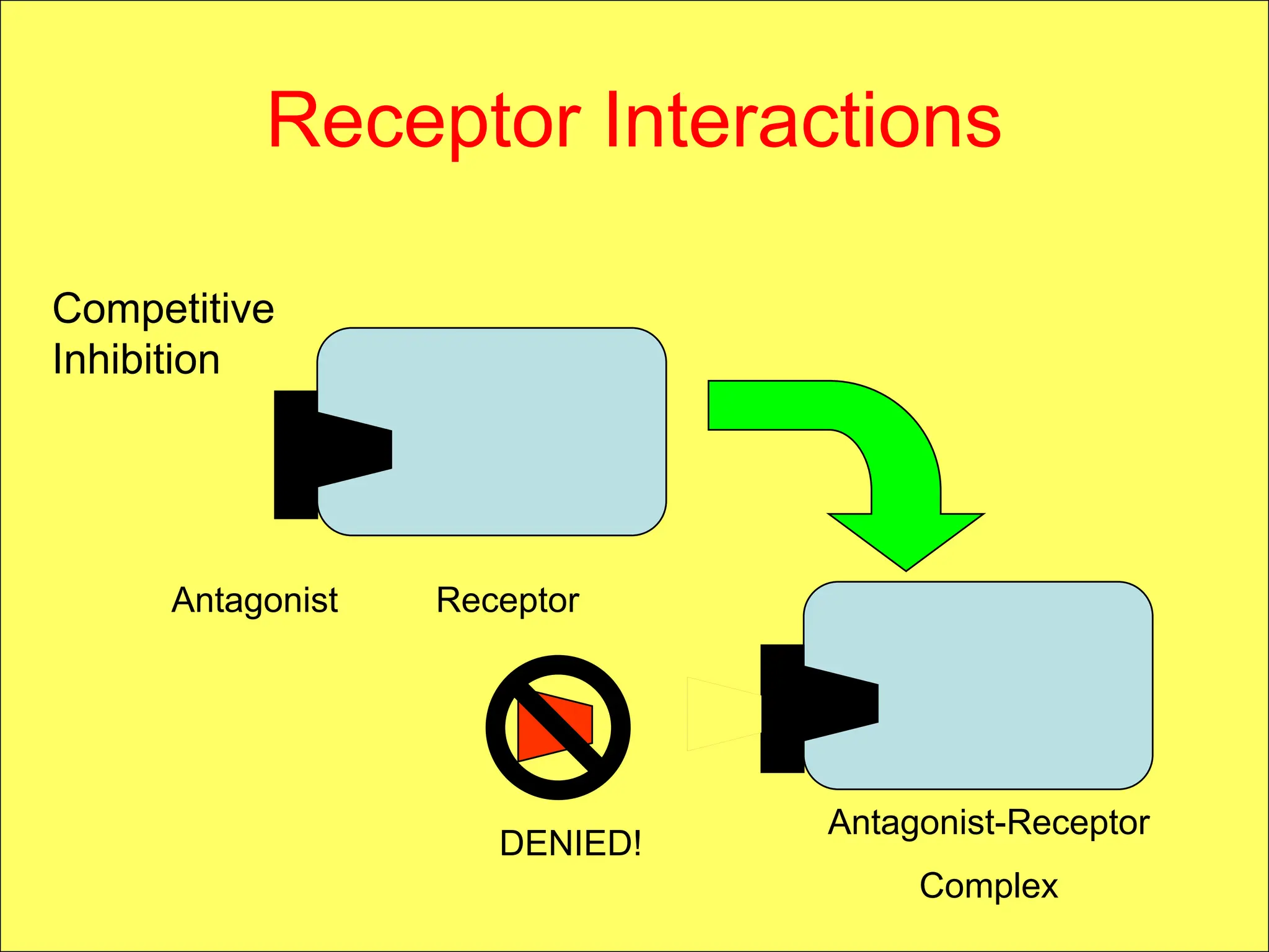 Mechanism of drug action,drug receptor phrmacology | PPT
