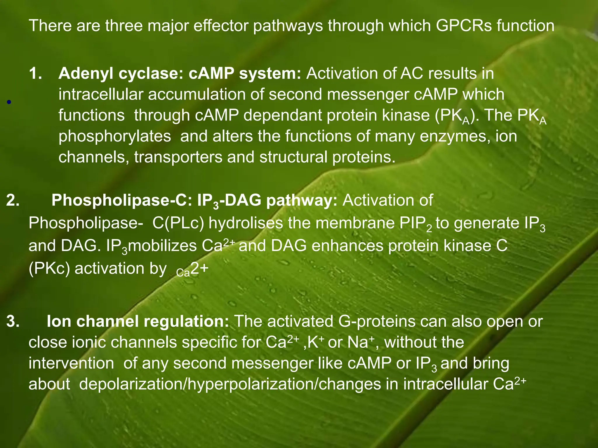 Mechanism of drug action,drug receptor phrmacology | PPT